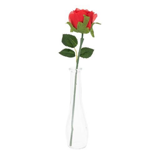 Single Rose with Vase – Your Daily Store Online